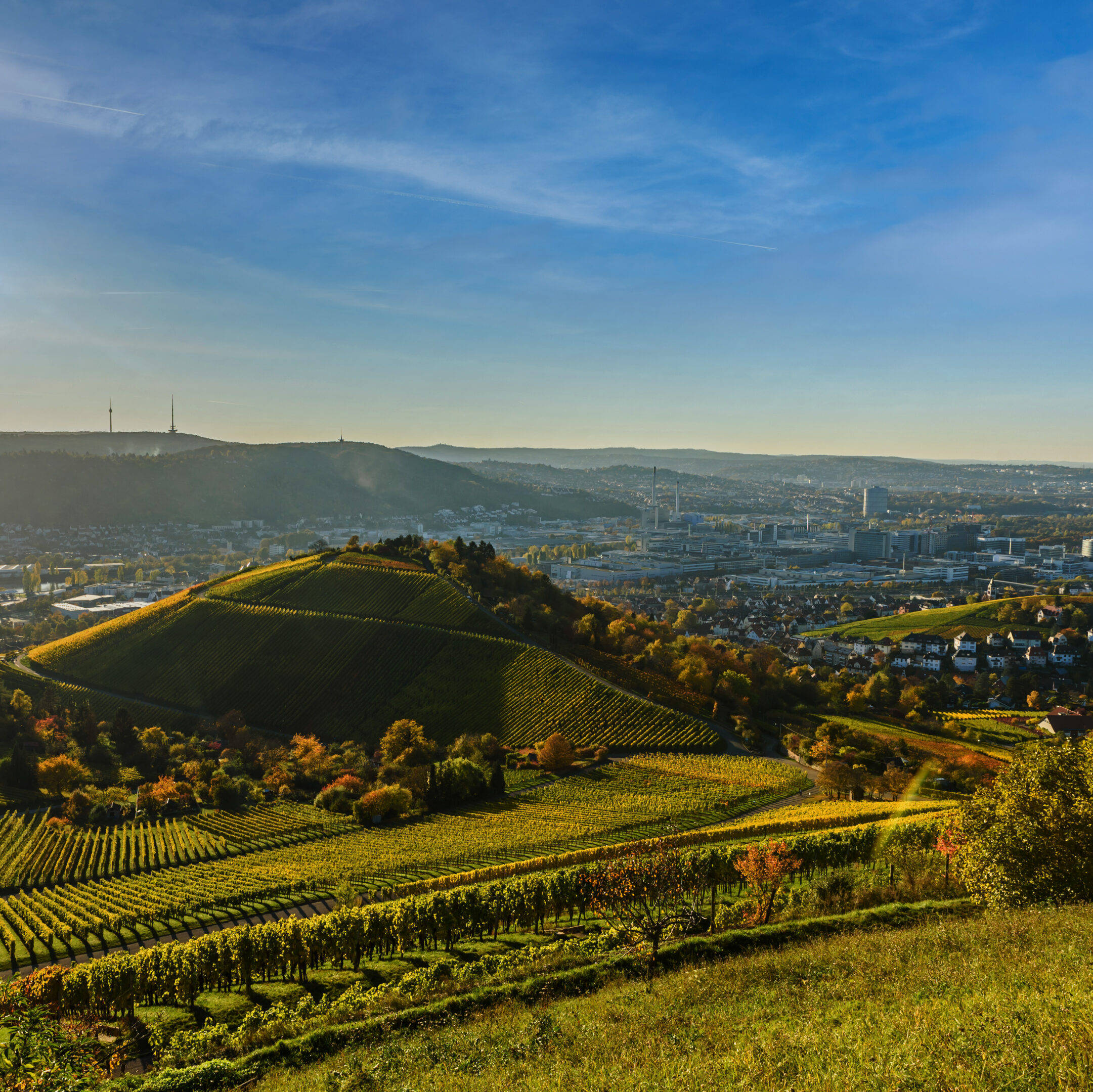 netcare | Your Career: Lots of Vacancies